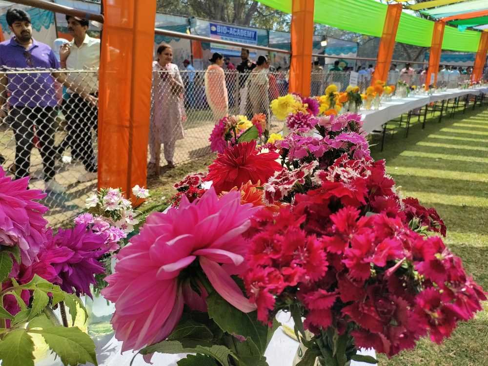 Maitri Bagh Flower Show Live: फूलों की बगिया में दिल बाग-बाग, देखिए ...