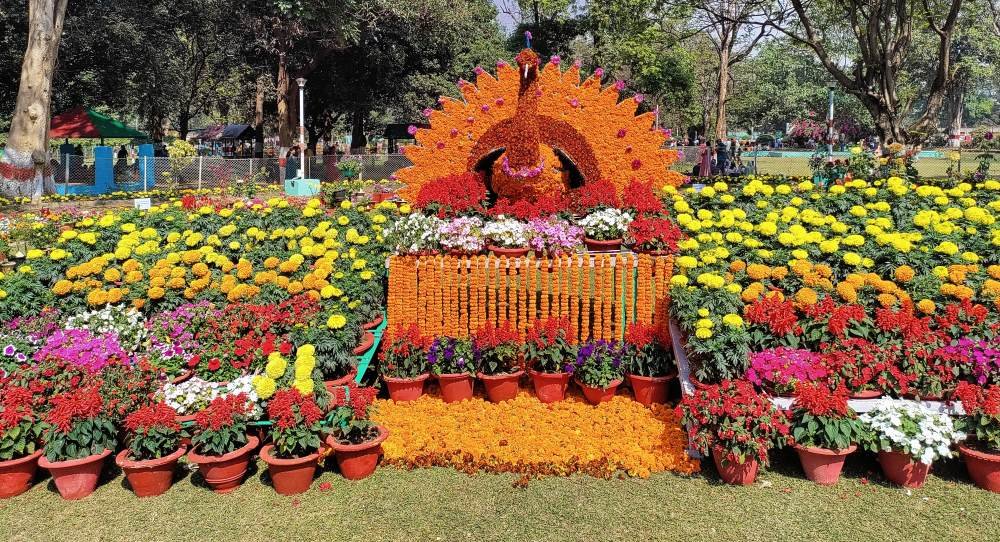 Maitri Bagh Flower Show Live: फूलों की बगिया में दिल बाग-बाग, देखिए ...